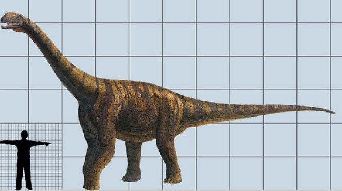 ᐈ Аброзавр | Discover.in.ua