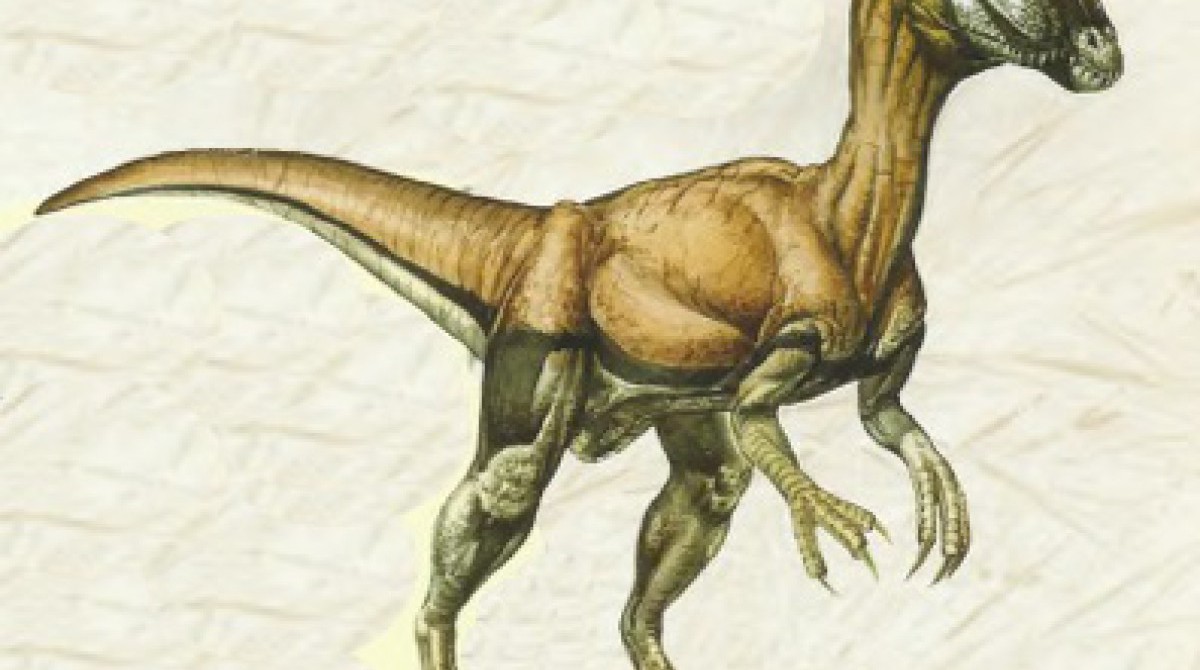 ᐈ Дилофозавр | Discover.in.ua