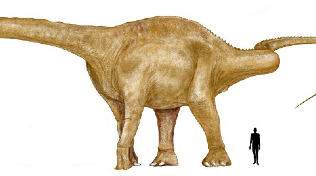 ᐈ Диплодок | Discover.in.ua